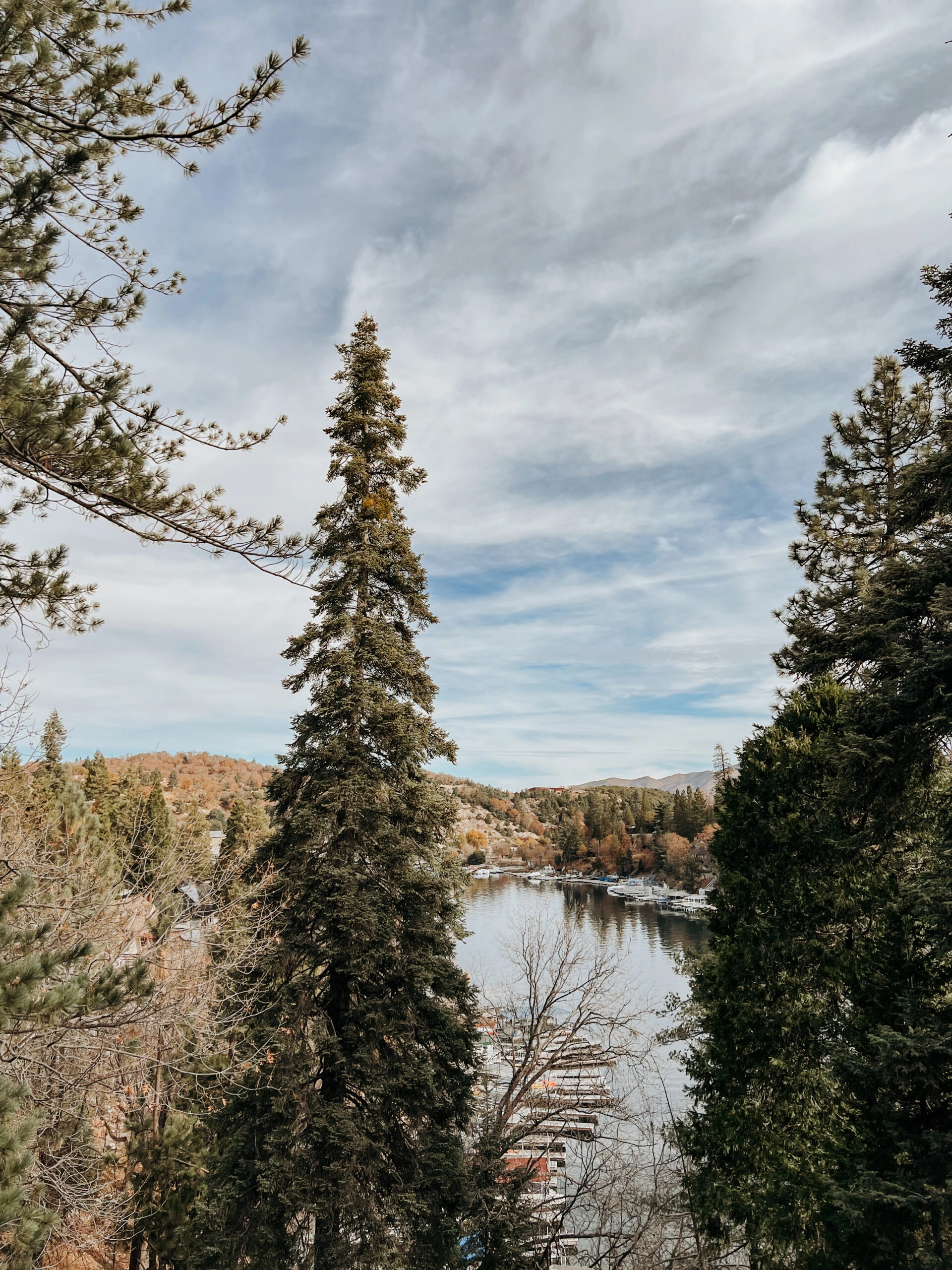 2025 Project Announcement: Our Lakefront Fixer-Upper – Halfway Wholeistic