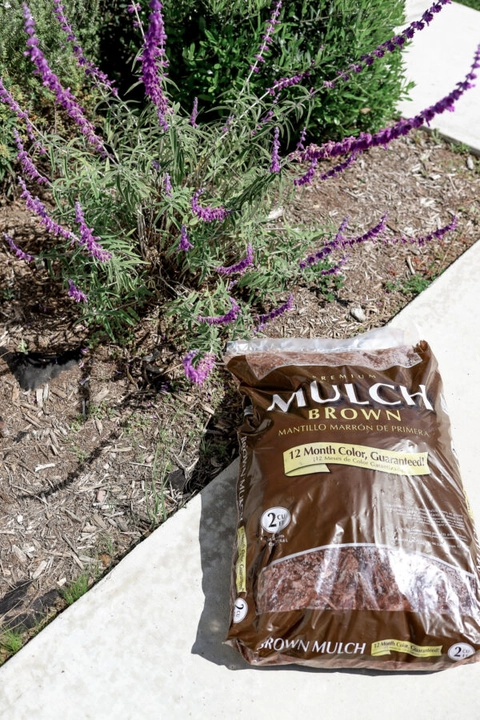 Freshen Up Your Space: Three Home Projects Perfect for Spring Renewal – Halfway Wholeistic