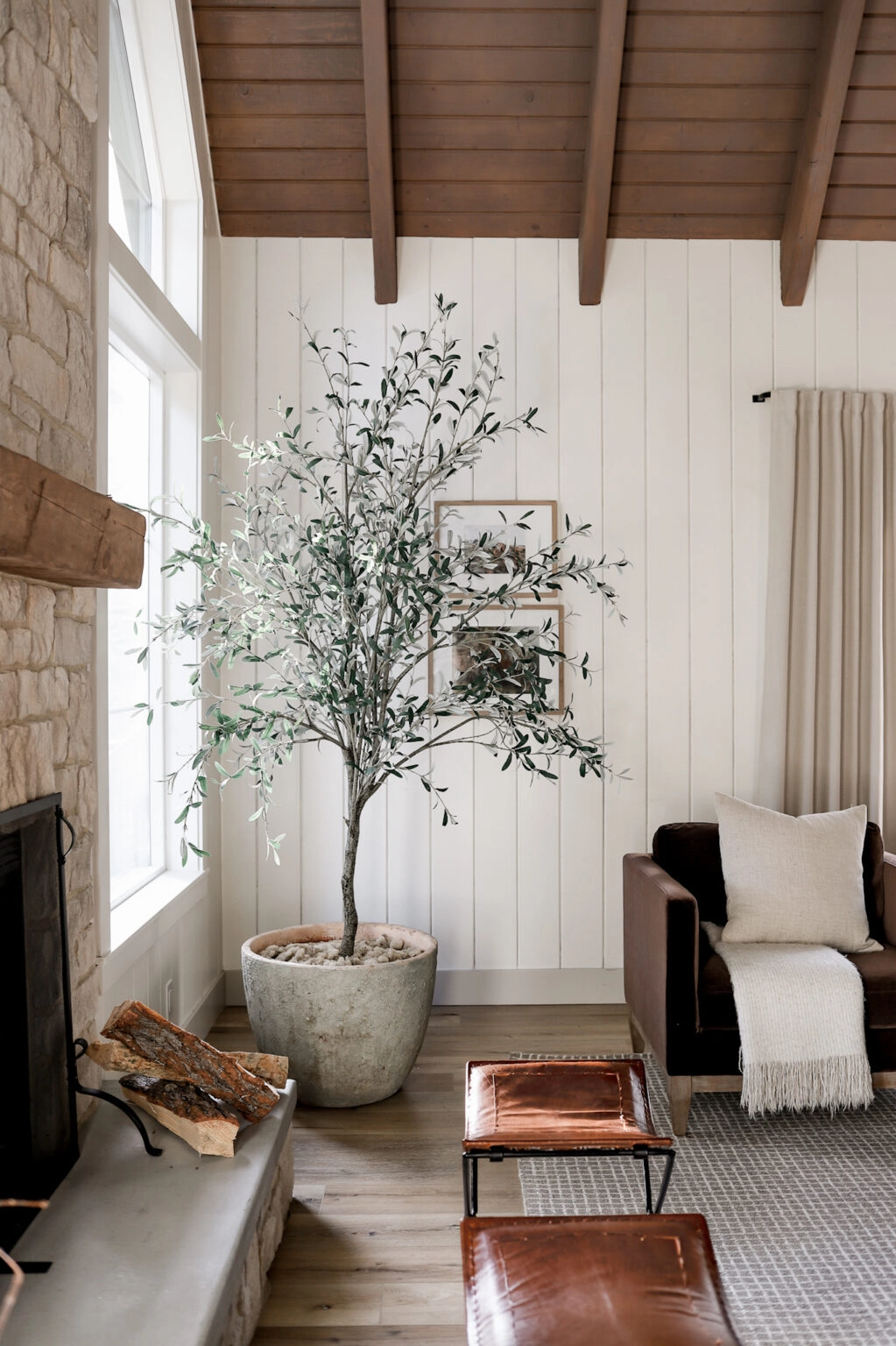 Elevate Your Home Decor with Stylish Faux Trees: A Guide to Interior ...